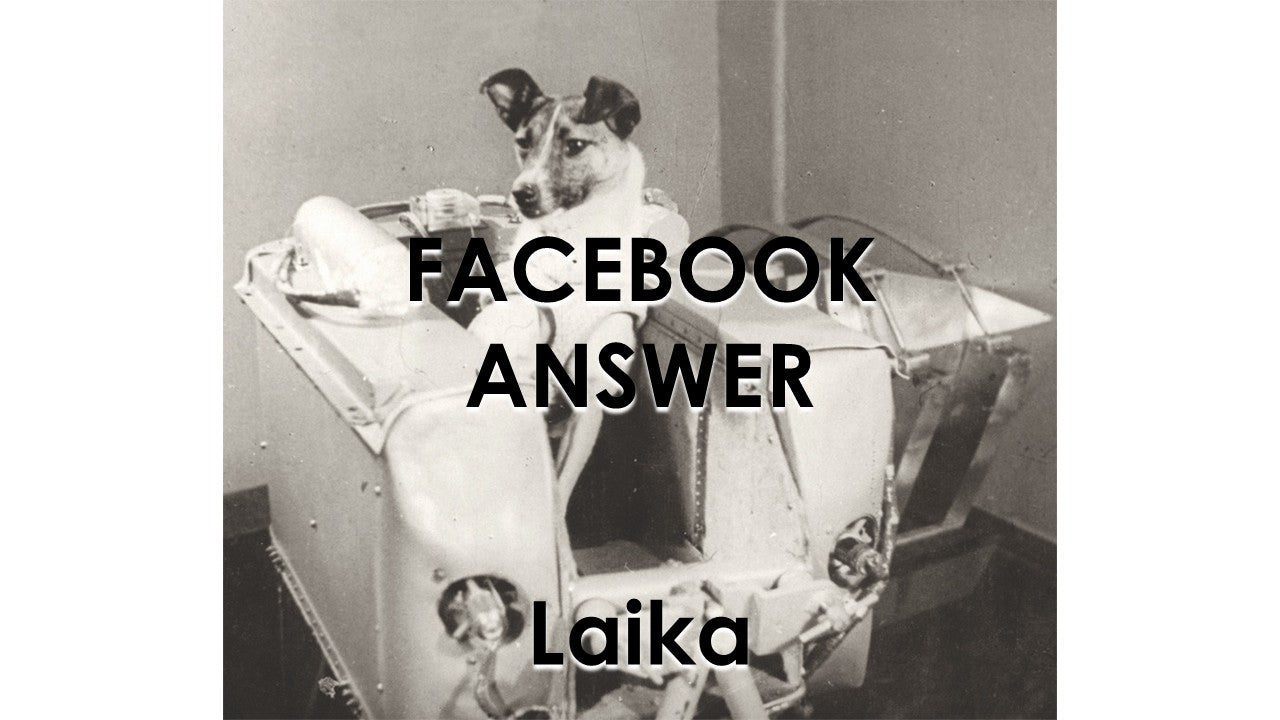 Laika: The First Living Creature to Orbit Earth – Quizzards