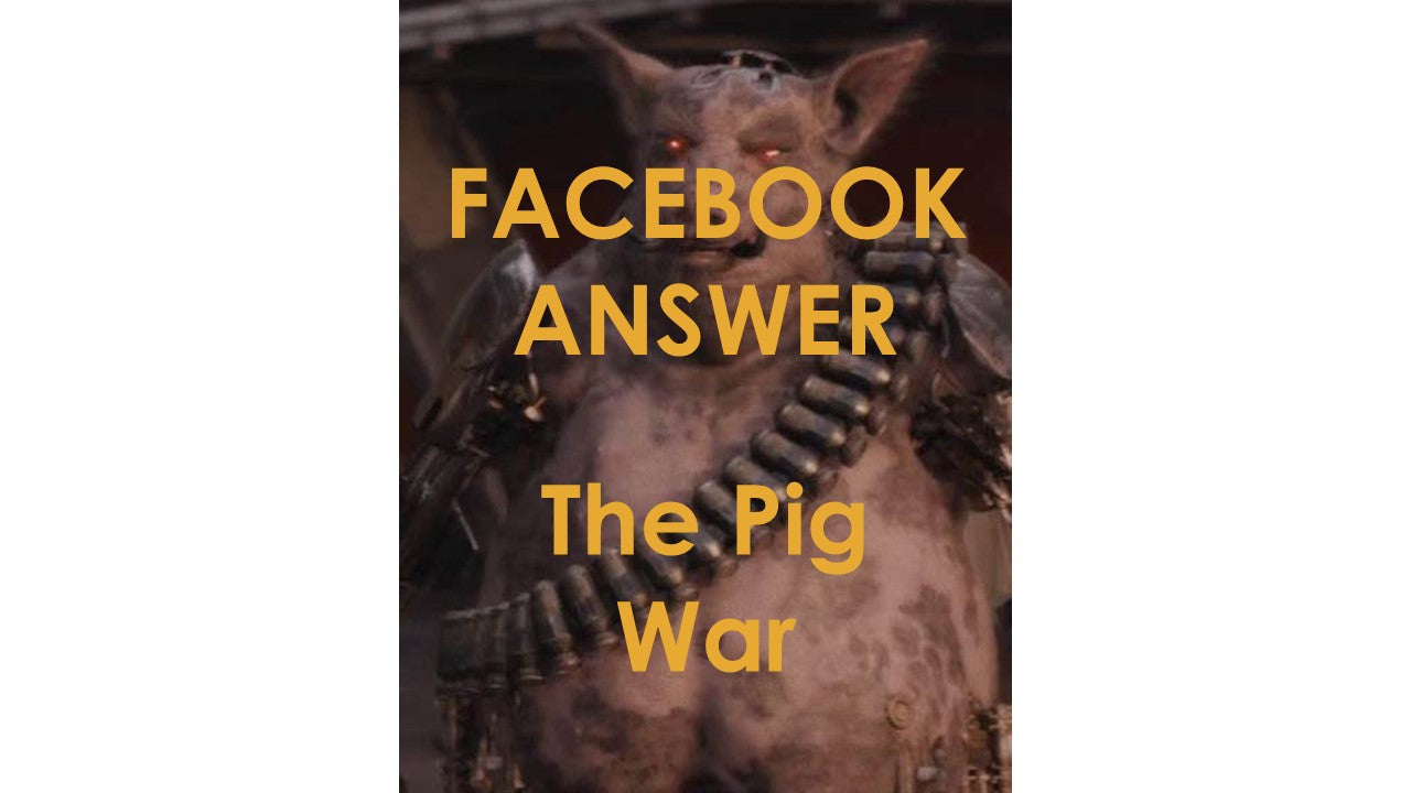 The Pig War – Quizzards